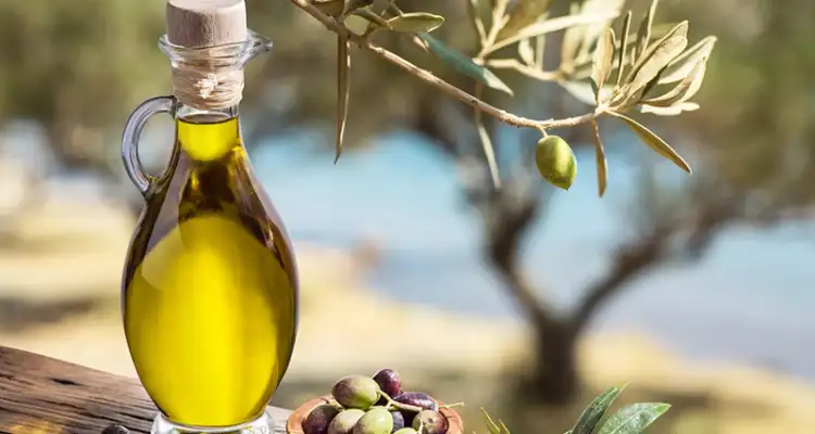 إنجاز جديد لزيت الزيتون التونسي - lepointtn.com